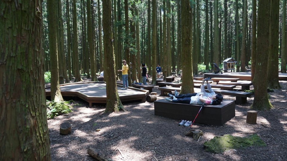 [힐링&트레킹] 33. 제주올레 16코스와 사려니숲길