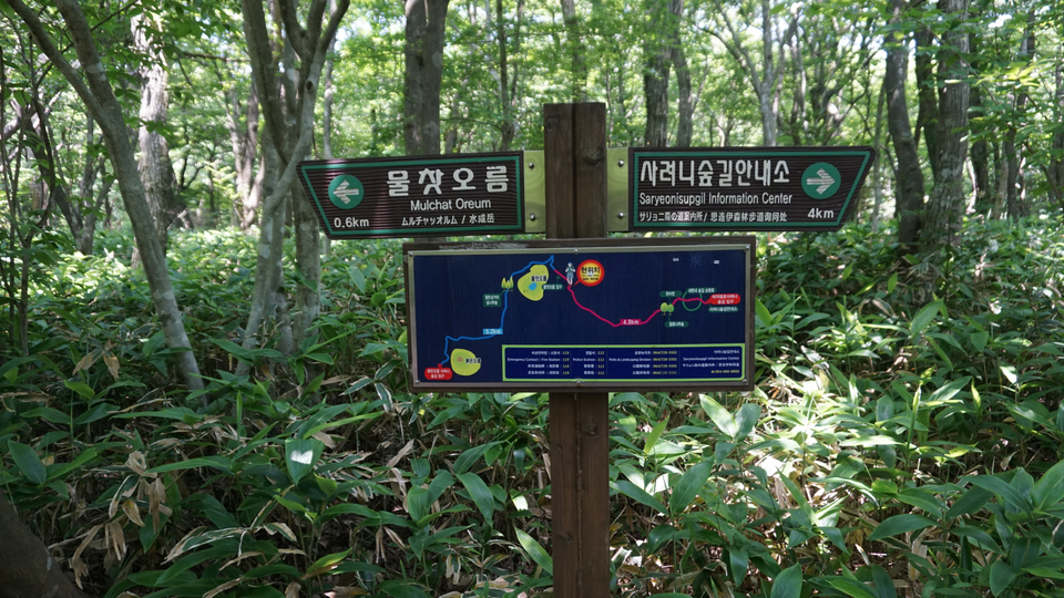 [힐링&트레킹] 33. 제주올레 16코스와 사려니숲길