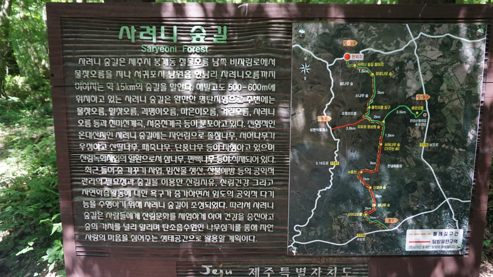 [힐링&트레킹] 33. 제주올레 16코스와 사려니숲길