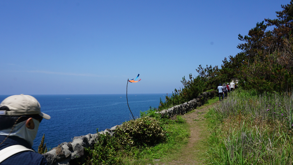 [힐링&트레킹] 33. 제주올레 16코스와 사려니숲길