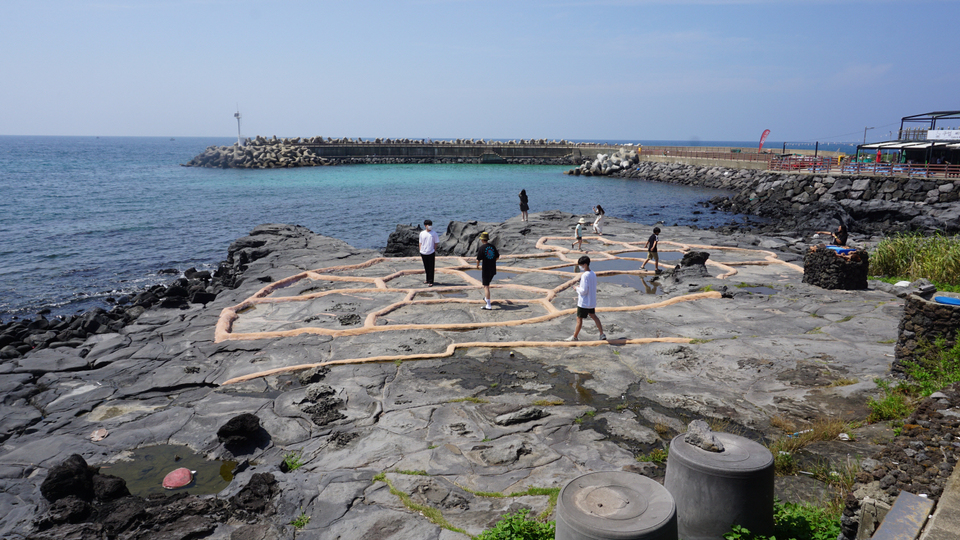 [힐링&트레킹] 33. 제주올레 16코스와 사려니숲길