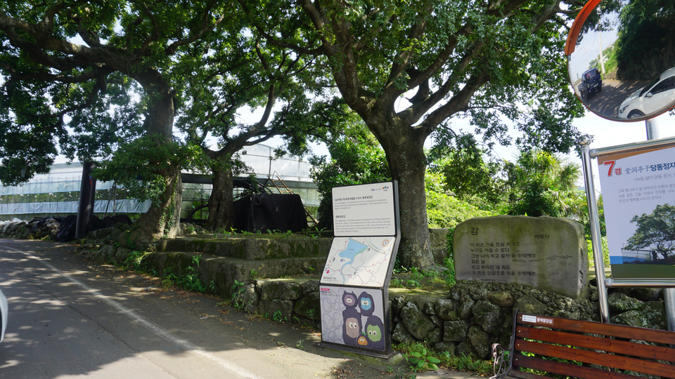 [힐링&트레킹] 33. 제주올레 16코스와 사려니숲길