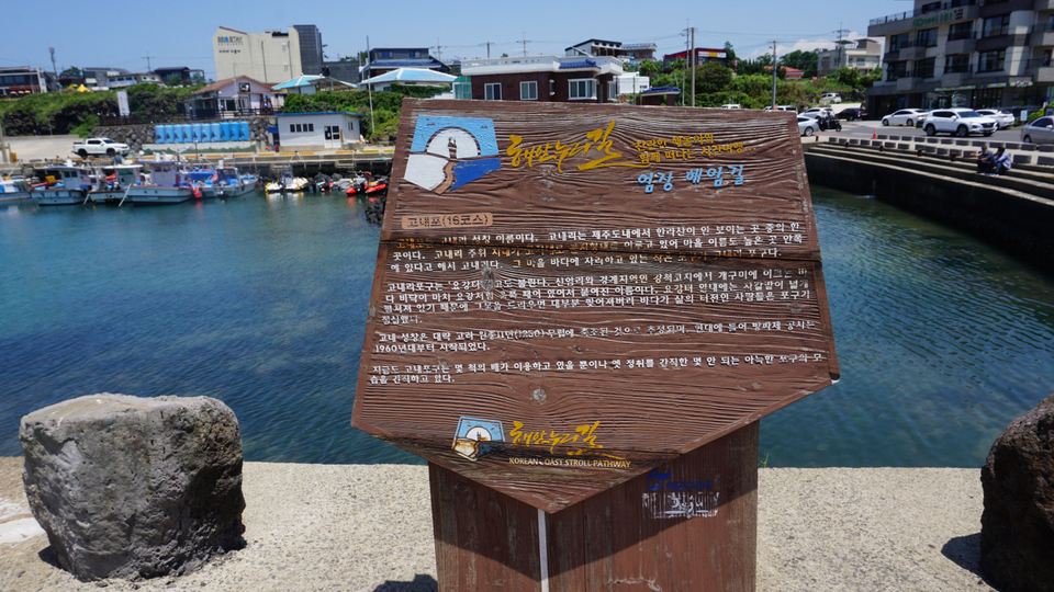 [힐링&트레킹] 33. 제주올레 16코스와 사려니숲길