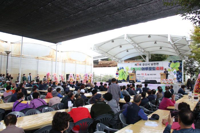 '50년 전통 MBA포도' 경산남천맥반석포도축제 성황