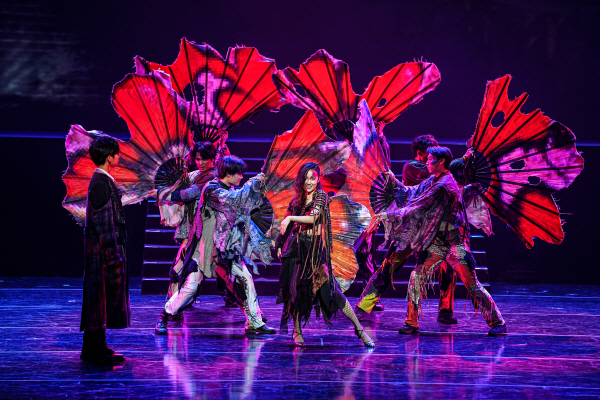 제19회 DIMF 대학생뮤지컬페스티벌, 10일부터 3월 14일까지 참가 접수