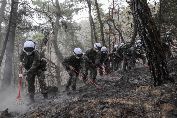 소화탄 활용 산불진화, 국회 질의로 채택…정부도 긍정 검토
