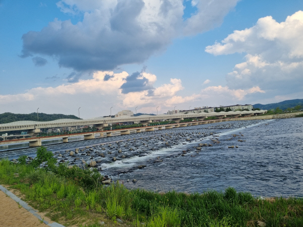 [걸어서 힐링속으로-경북을 걷다] 67. 안동 낙동강변 ‘맨발로도(路道)’