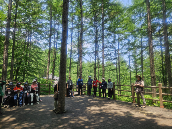 김천시, 암 생존자 위한 ‘산림치유 프로그램’ 본격 운영