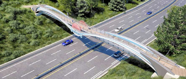 포항 단절 숲길 보도교, 사람만 위한 길…야생동물 이동권 배제