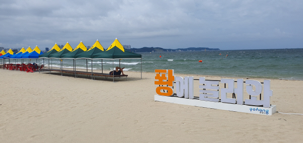 "그때를 기억하시나요?"…포항 송도해수욕장, 18년 만에 재개장